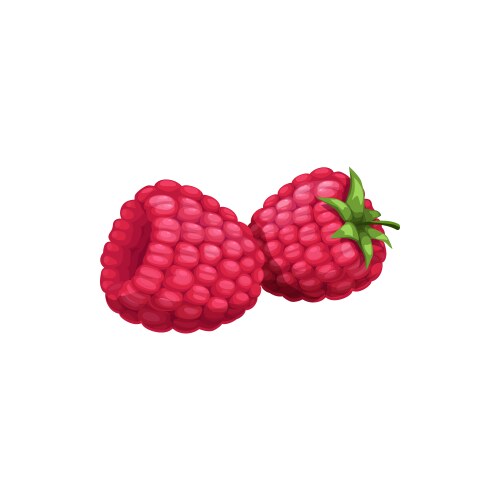 Raspberry icon flat berry Royalty Free Vector Image
