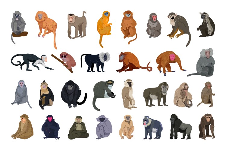 Monkeys Vector Images (over 63,000)