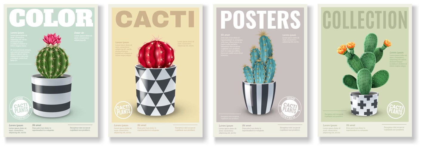 Cactus succulent realistic transparent set Vector Image