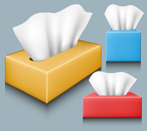 A colorful tissue box Royalty Free Vector Image