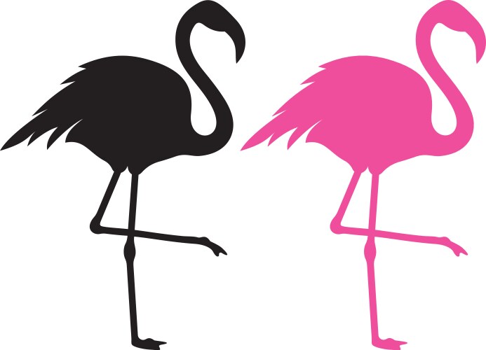 Flamingo Vector Images (over 32,000)