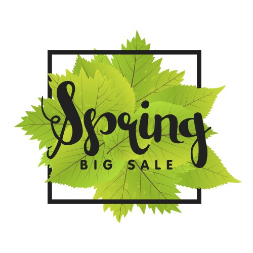 Leaf banner Royalty Free Vector Image - VectorStock