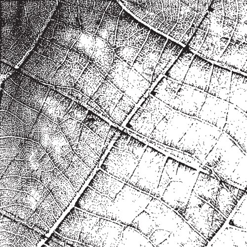 Leaf texture overlay vertical Royalty Free Vector Image