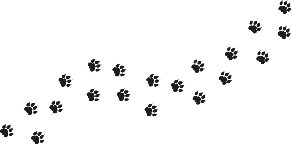 Lynx Paw Print Vector Images (76)