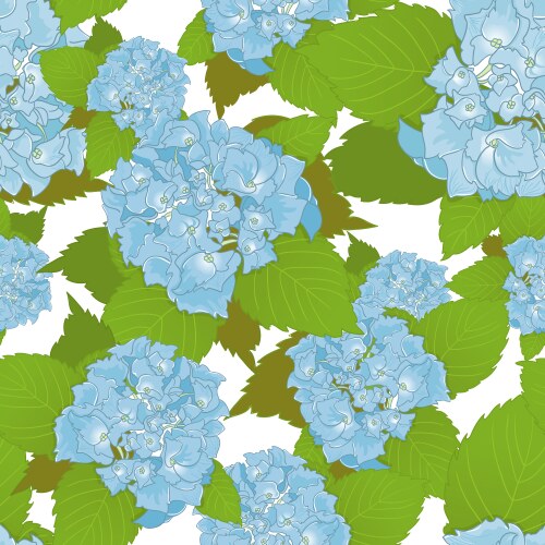 Hydrangea Vector Images (over 7,900)