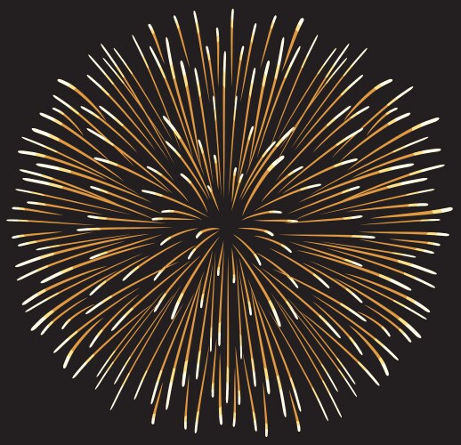 Firework rockets fire cracker Royalty Free Vector Image