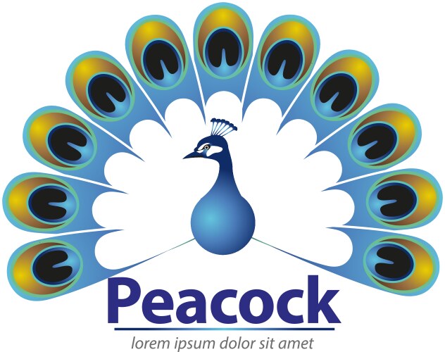 Peacock symbol Royalty Free Vector Image - VectorStock