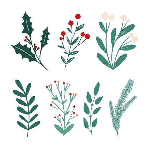 Holly sprig Vector Images & Graphics for Commercial Use | VectorStock
