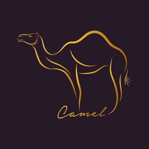 Camel Outline Vector Images (over 3,900)