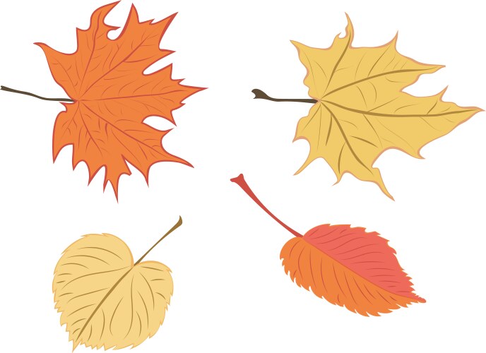 Fall Leaves Vector Images (over 81,000)