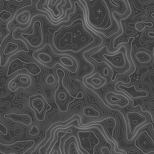 Seamless pattern topographic map background Vector Image