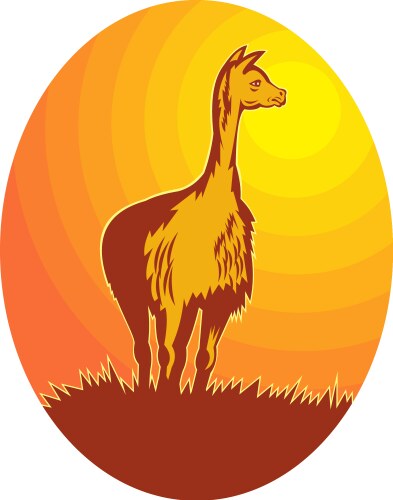 Vicuna cute cartoon animal Royalty Free Vector Image