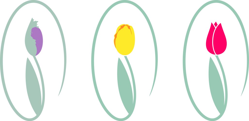 Tulip Vector Images (over 60,000)