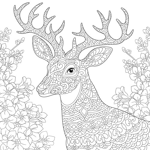 Zentangle Deer Coloring Page Royalty Free Vector Image