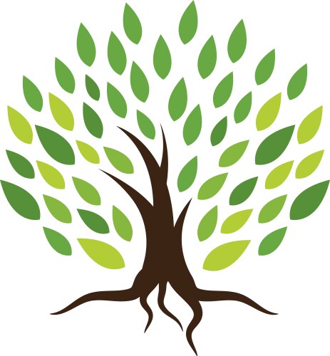 Tree growth diagram Royalty Free Vector Image - VectorStock