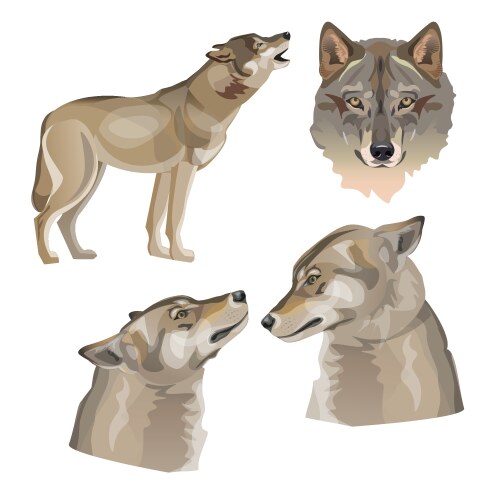Wolves Vector Images (over 2,100)