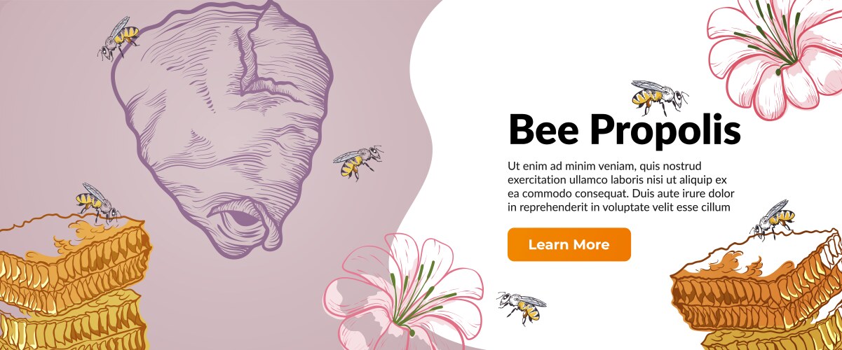 Propolis Vector Images (over 2,600)