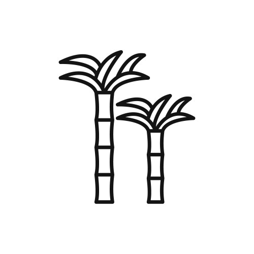 Sugar cane icon symbol on white background Vector Image