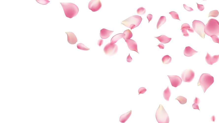 Flower Margin Vector Images (over 540)