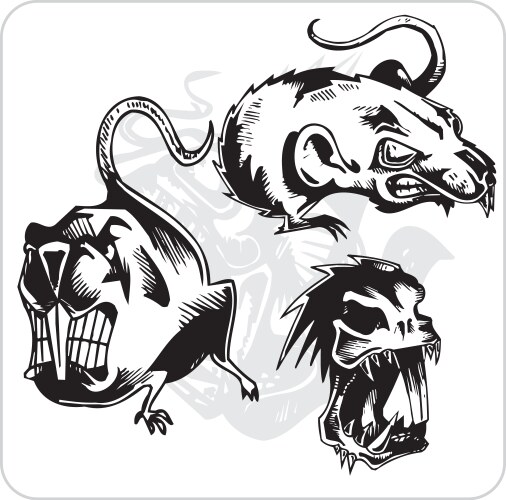 Rat Vector Images (over 32,000)