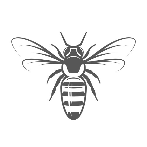 Honey bee Royalty Free Vector Image - VectorStock