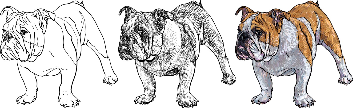 Bulldog Vector Images (over 22,000)