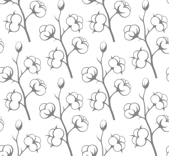 Cotton Royalty Free Vector Image - VectorStock