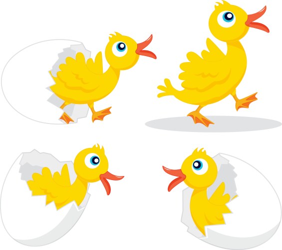 Many chicks and eggs in nest Royalty Free Vector Image