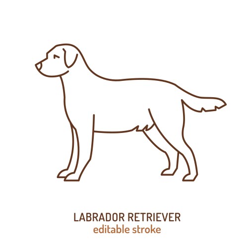 Labrador outline Vector Images & Graphics for Commercial Use | VectorStock