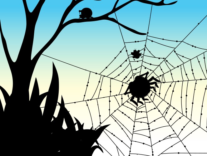 Spider Web Cartoon Vector Images (over 17,000)