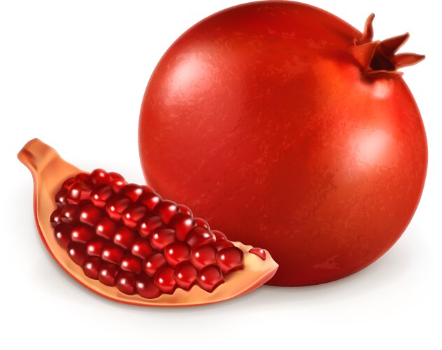 Pomegranate Vector Images (over 20,000)