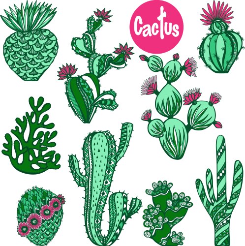 Cactus realistic set Royalty Free Vector Image