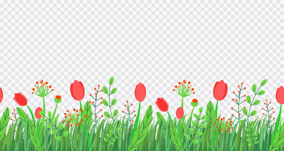 Spring garden blooming flowers with grass border Vector Image