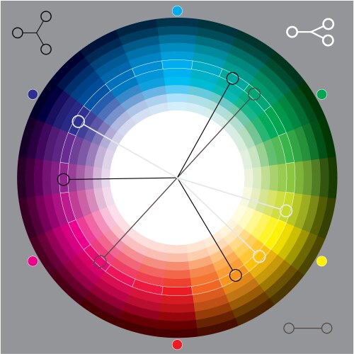 Natural or true color wheel with 4-primary colors Vector Image