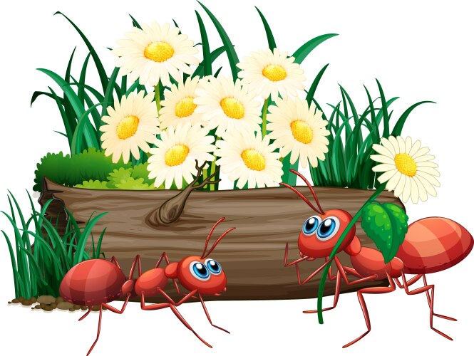Cartoon ants colony and ant hill Royalty Free Vector Image