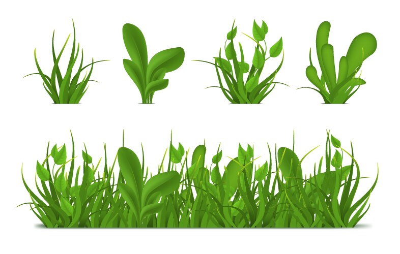 Realistic grass set Royalty Free Vector Image - VectorStock