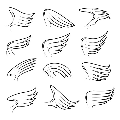 Colorful wings line set Royalty Free Vector Image