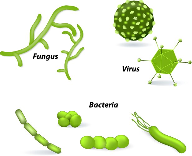 Round bacteria with bumps Royalty Free Vector Image