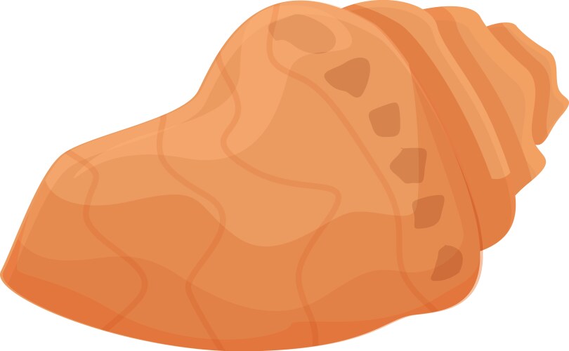 Conch Shell Cartoon Vector Images (over 1,800)