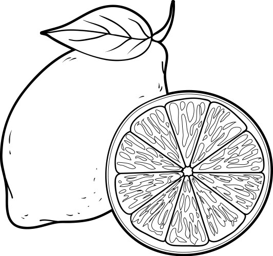 Lemon Outline Vector Images (over 22,000)