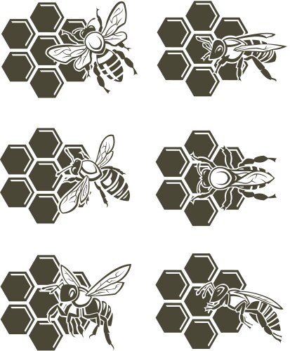 Honey Bee Vector Images (over 62,000)