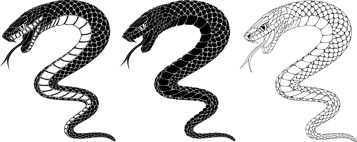 Snake Calendar Serpent Vector Images (over 520)