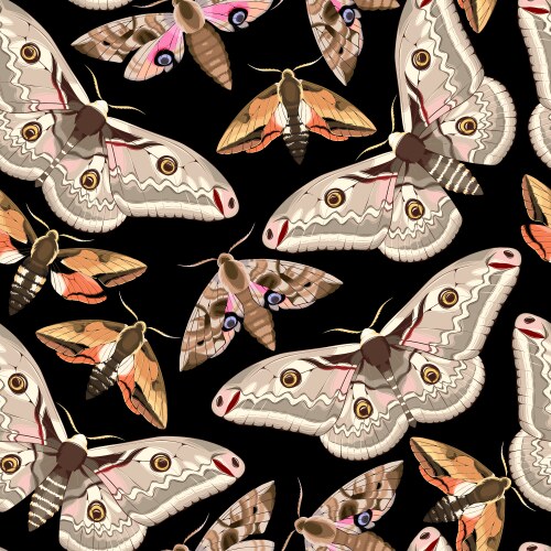 Seamless pattern with hand drawn moths Royalty Free Vector
