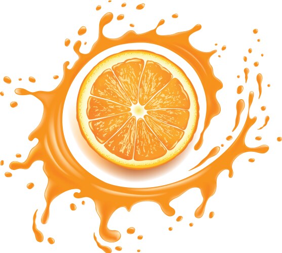 Orange fruit slice with juice splash splatters Vector Image