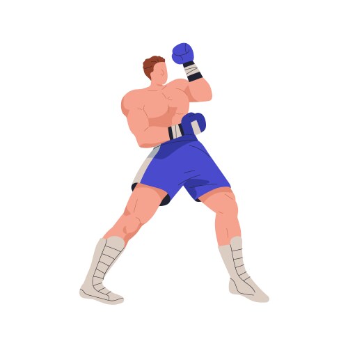 Boxer fighter boxing professional box athlete Vector Image