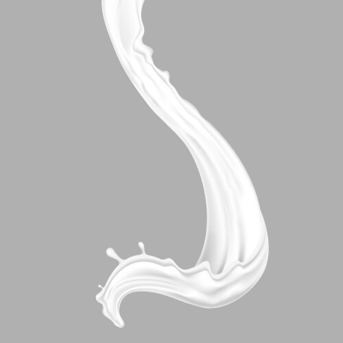 Colorful transparent flowing fluid shapes Vector Image