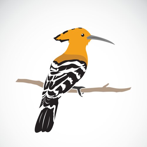 Cute cartoon hoopoe Royalty Free Vector Image - VectorStock