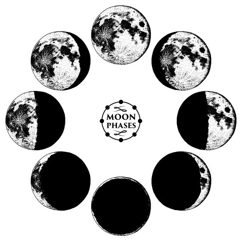 Moon phases Vector Images & Graphics for Commercial Use | VectorStock