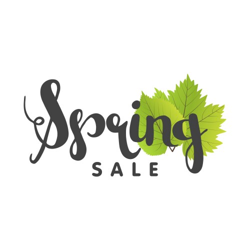 Decoration with branches and green leaves spring Vector Image