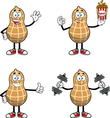 Peanut cartoon Royalty Free Vector Image - VectorStock
